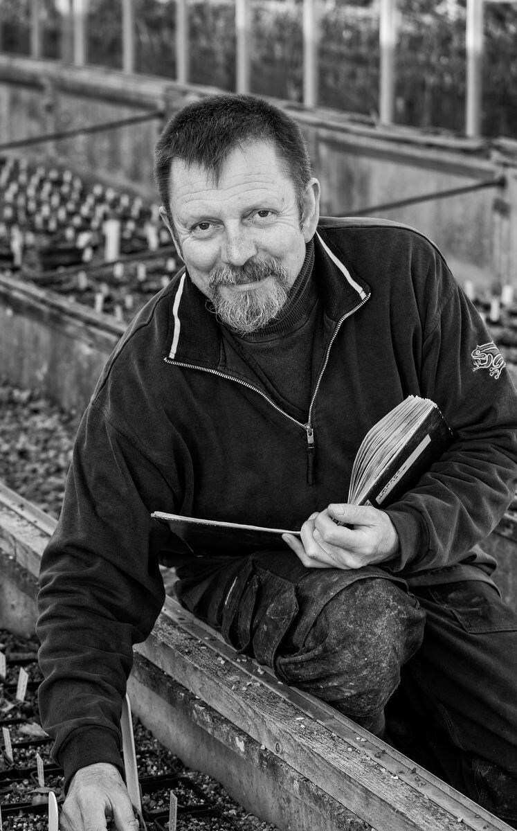 Plantsman Alan Street verstorben - GÄRTEN